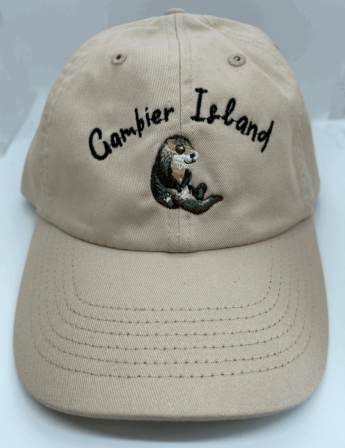 The 'Sea Otter' Dad Hat – Island Life Apparel Inc.